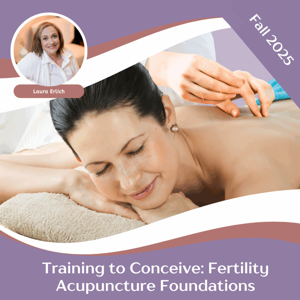 HealthySeminars Mentorship Program